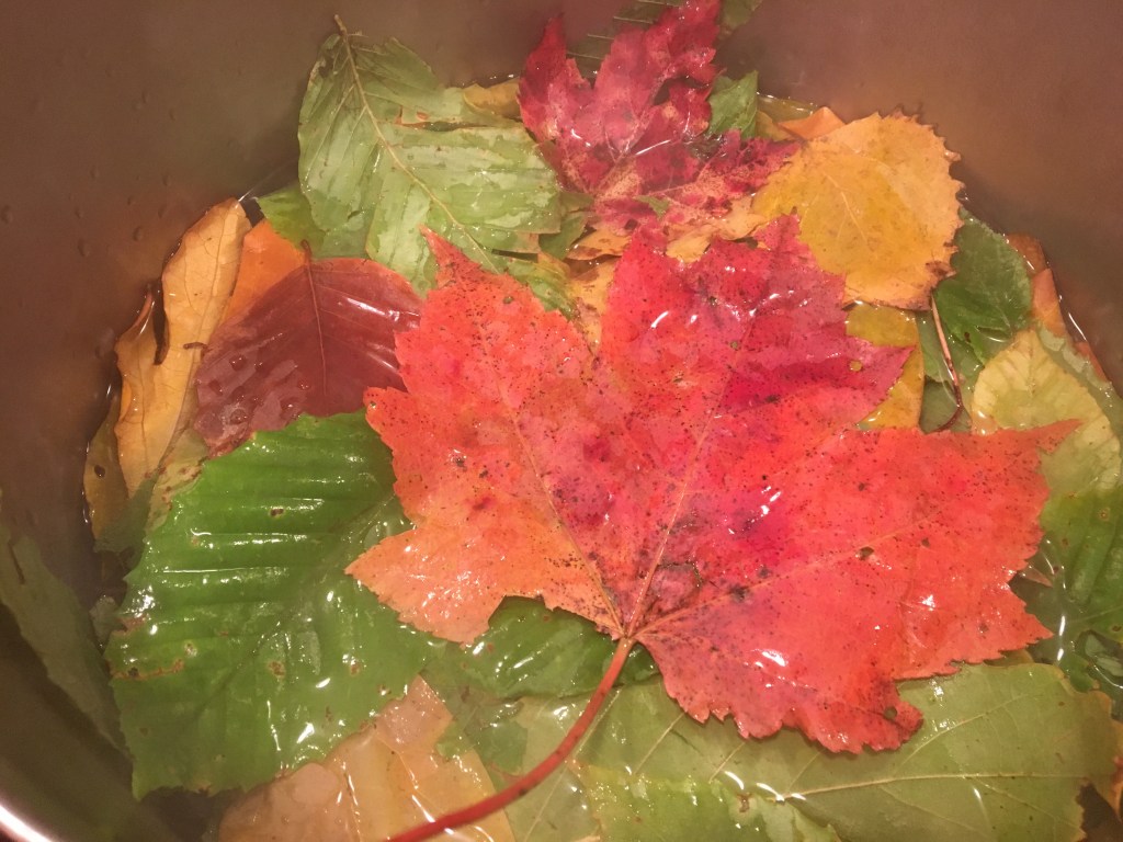 A Broth of Fallen Leaves – How to Cook a Weed